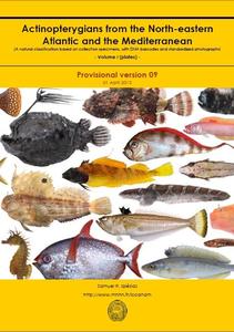 ACTINOPTERYGIANS FROM THE NORTH-EASTERN ATLANTIC AND THE MEDITERRANEAN ...
